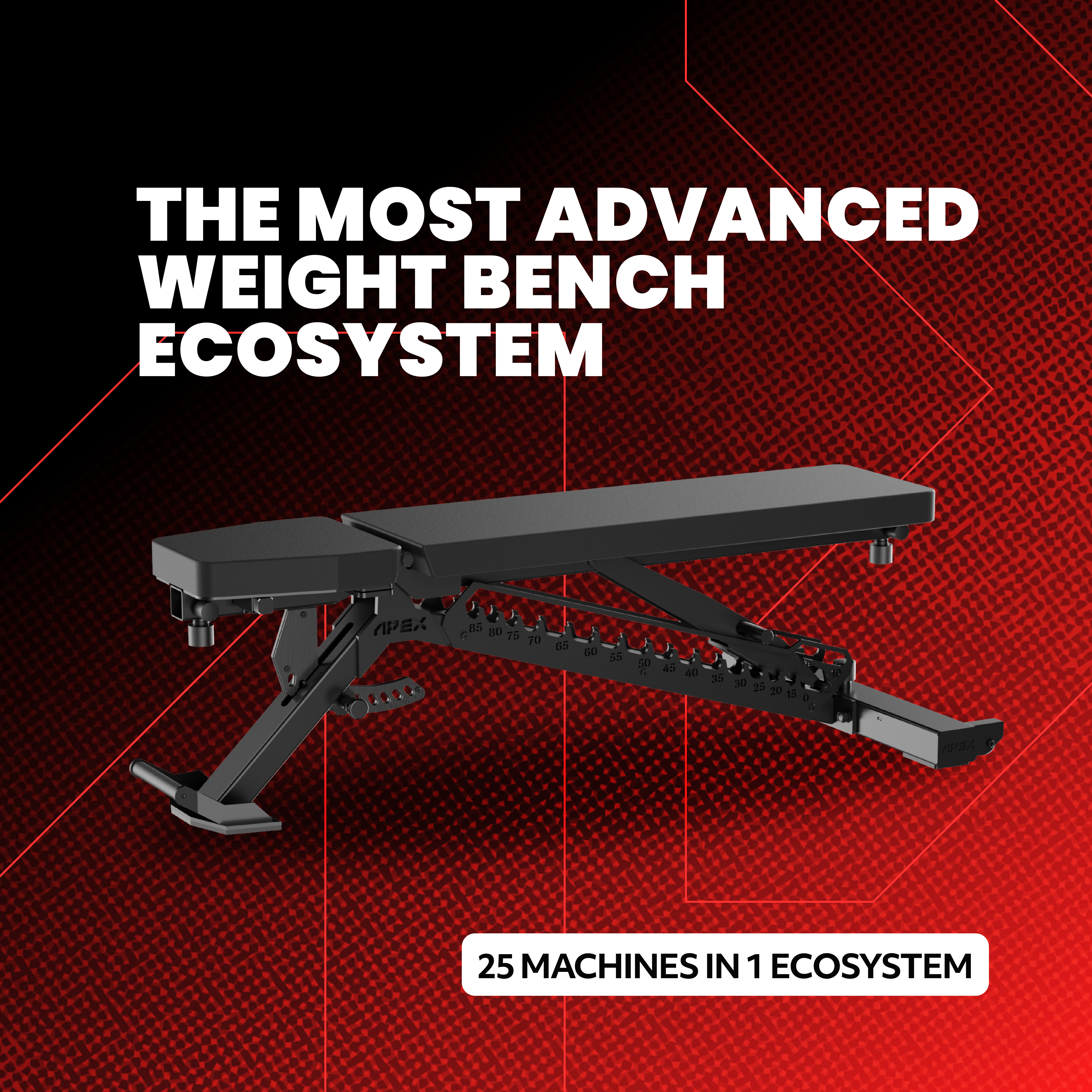 APEX Adjustable Bench | 25 Machines In 1 Ecosystem – The Tib Bar Guy