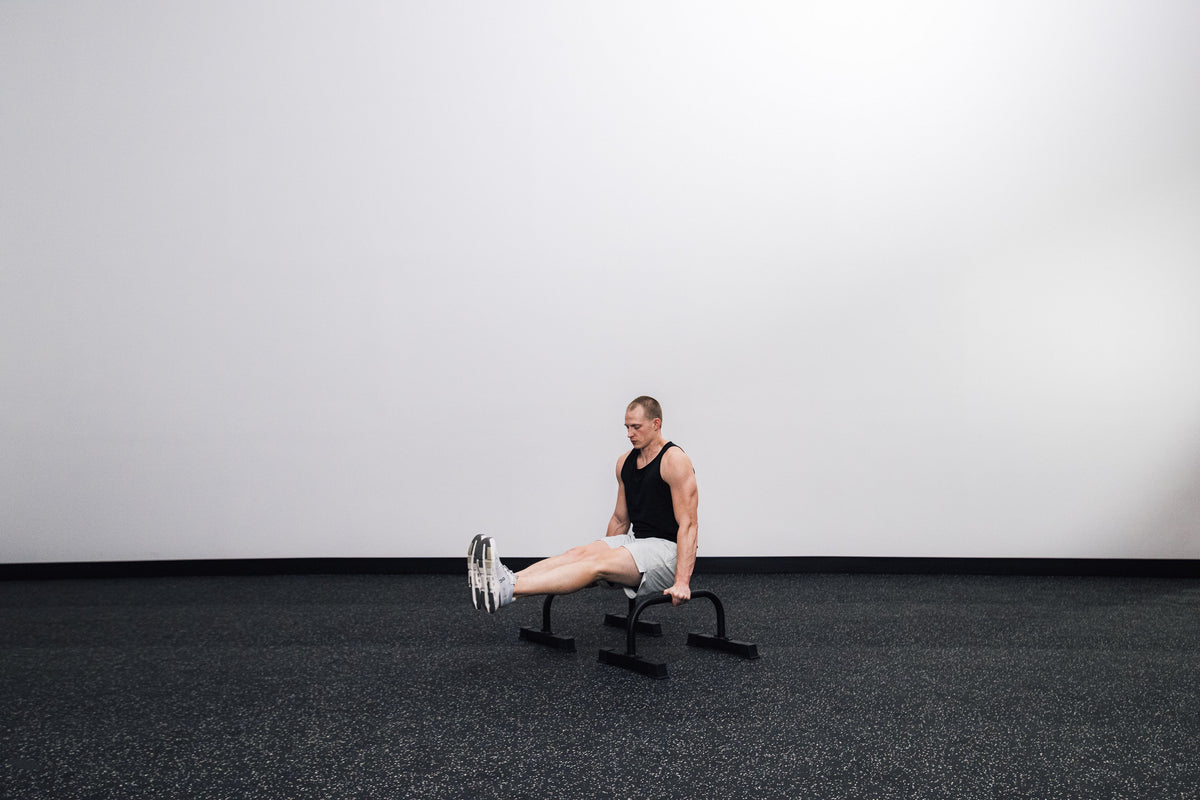 Parallel Bars | TBG Parallel Bars for Home & Commercial Gyms – The Tib ...