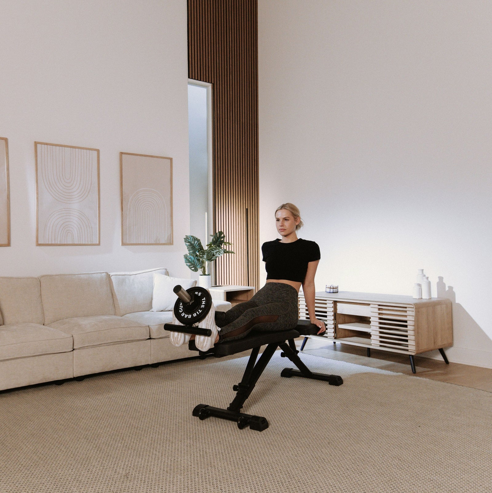 35lbs Weight Plate Sets | Perfect For The Tib Bar Guy Equipment