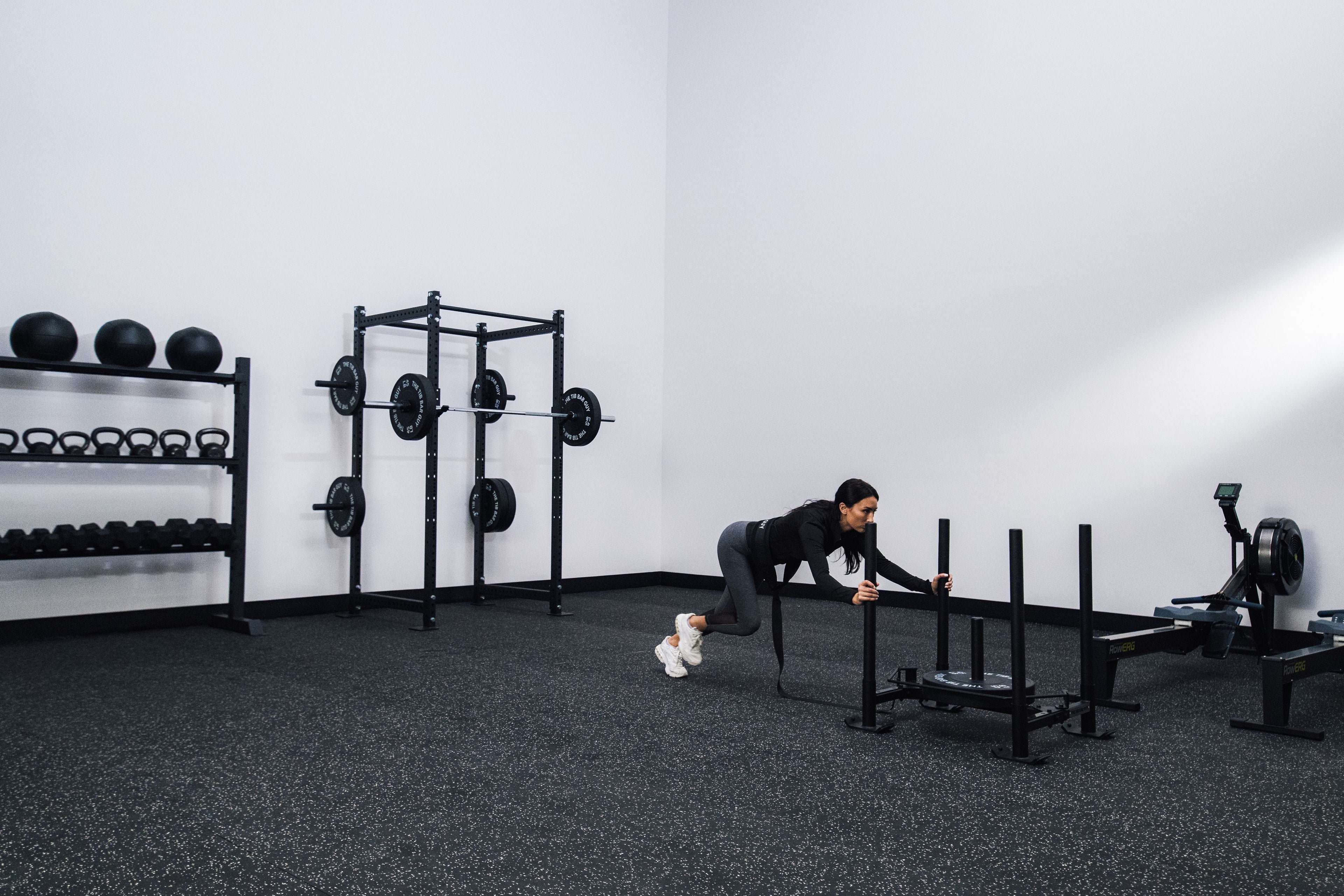 The Push-Pull Sled | Commercial Grade Weight Sled – The Tib Bar Guy