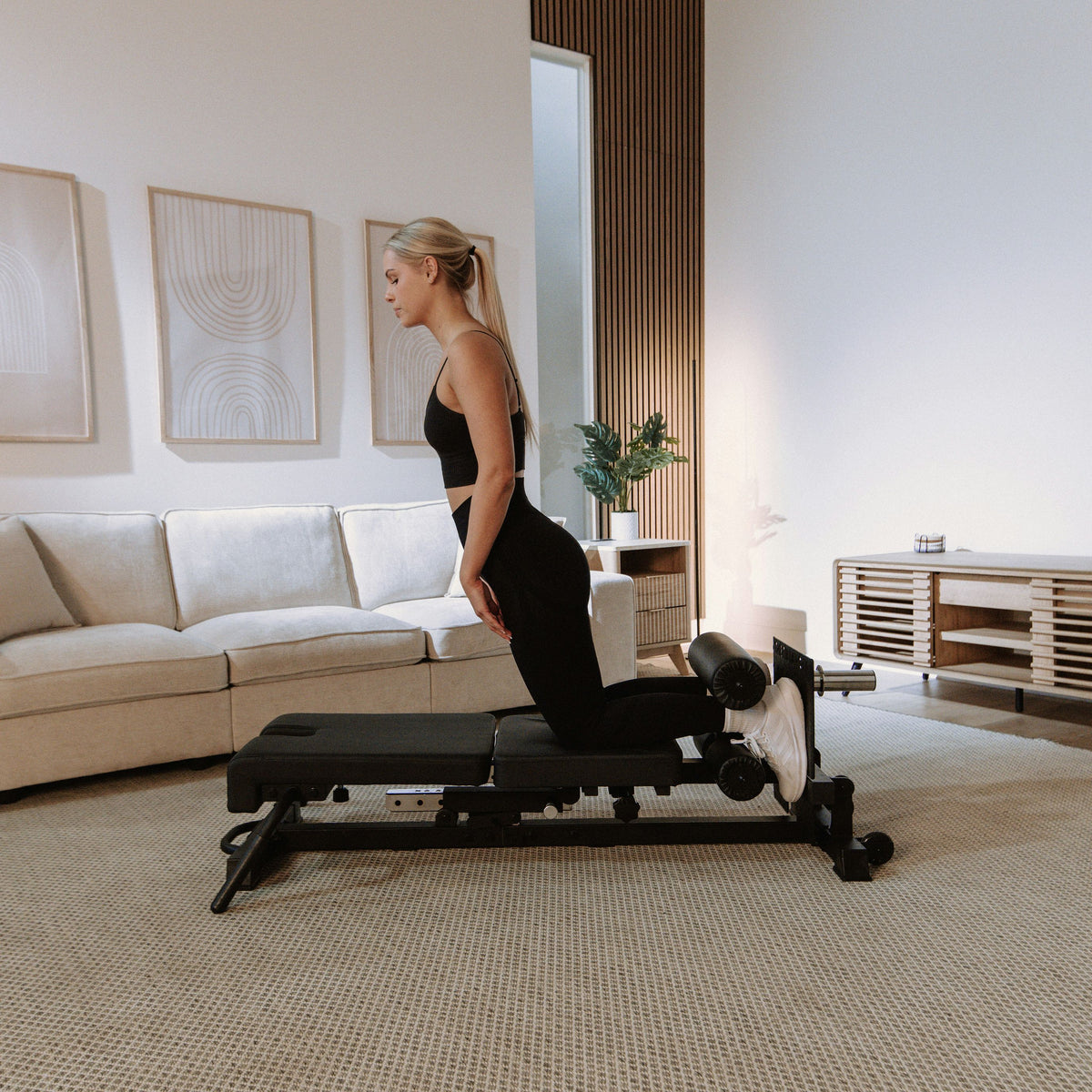 Back Extension Machine V2 | Nordic Bench, Hip Thrust Machine & More ...